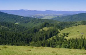 Top 18 Obiective Turistice în Gura Humorului